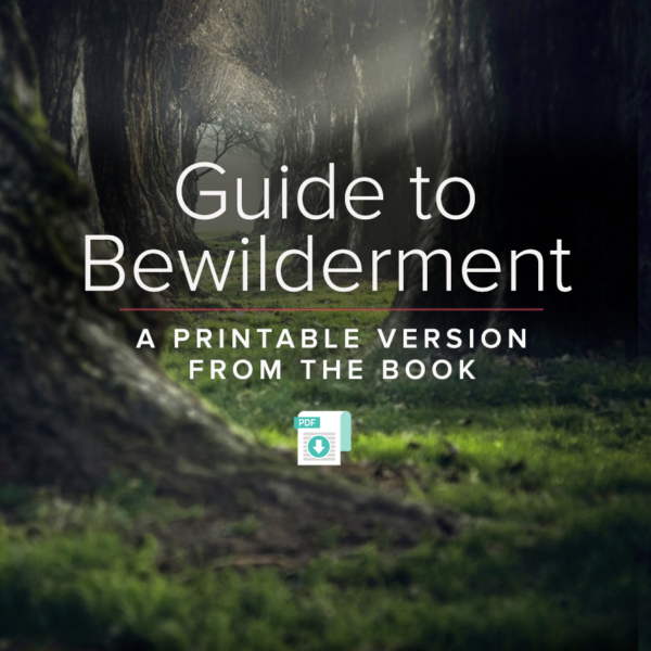 Guide to Bewilderment - Martha Beck